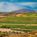 Temecula's Rancho California Wine Tour - The Experience: What You Can Expect