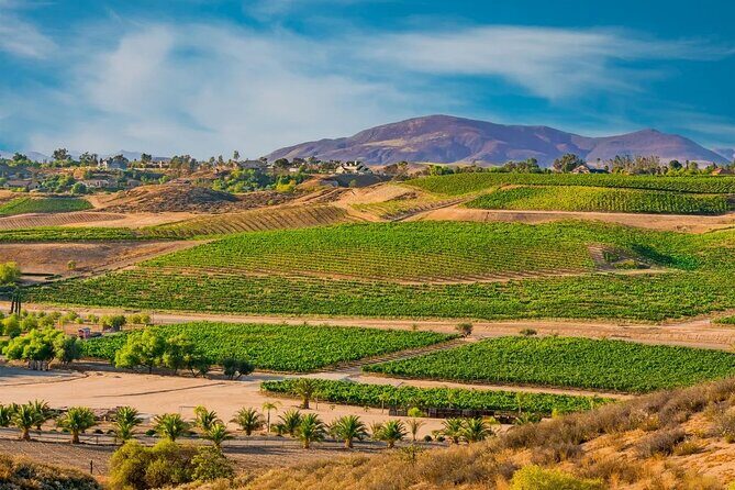 Temecula's Rancho California Wine Tour - The Experience: What You Can Expect
