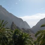 Tenerife Highlights Full-Day Tour - Transport, Guides, and Group Experience