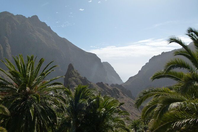 Tenerife Highlights Full-Day Tour - Transport, Guides, and Group Experience