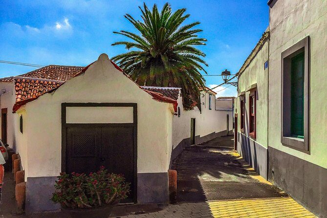 Tenerife South Private Tour: Secrets of the Volcanoes - What You’ll Love About This Tour