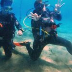 Tenerife Under The Sea - dive into 1-1 personalised experience - An In-Depth Look at the Itinerary