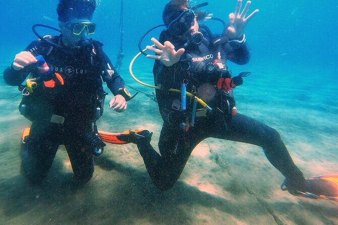 Tenerife Under The Sea - dive into 1-1 personalised experience - An In-Depth Look at the Itinerary