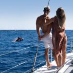 Tenerife Whale watching on private charter - Final Thoughts