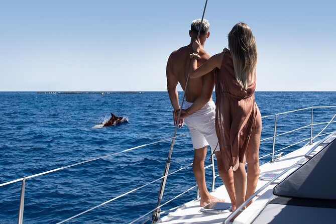 Tenerife Whale watching on private charter - Final Thoughts