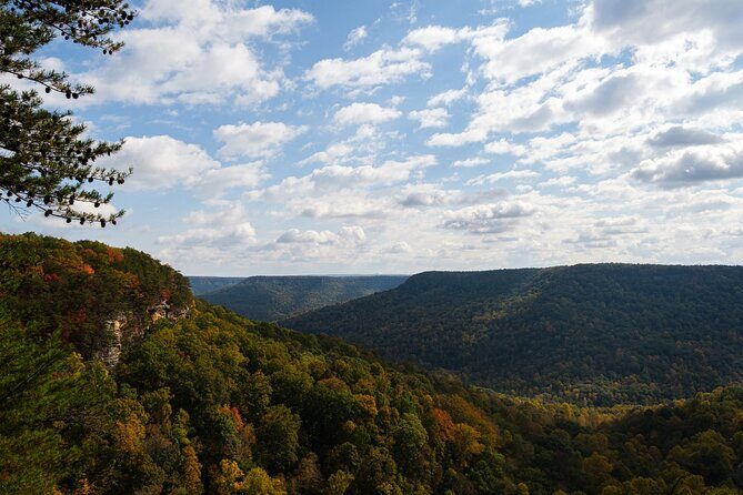 Tennessee Fall Colors Hiking Tour - Who Should Consider This Tour?
