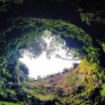 Terceira Island: Full Day Tour - Exploring Terceira: A Detailed Look at the Full-Day Tour