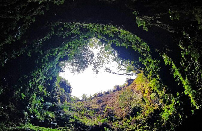 Terceira Island: Full Day Tour - Exploring Terceira: A Detailed Look at the Full-Day Tour