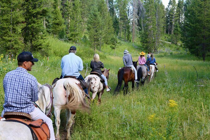 Teton View Horse Riding with Lunch - Who Would Love This Tour?