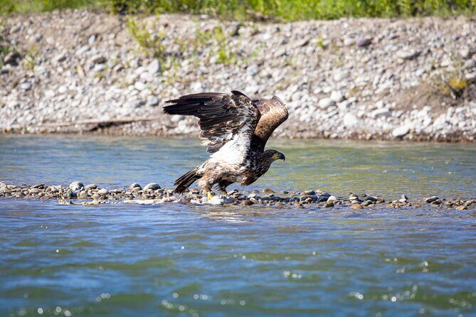 Tetons and Snake River Scenic Float Trip In Jackson Hole - Who Will Love This Tour?