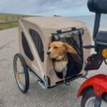 Texel: E-Scooter Rental - Authentic Traveler Insights