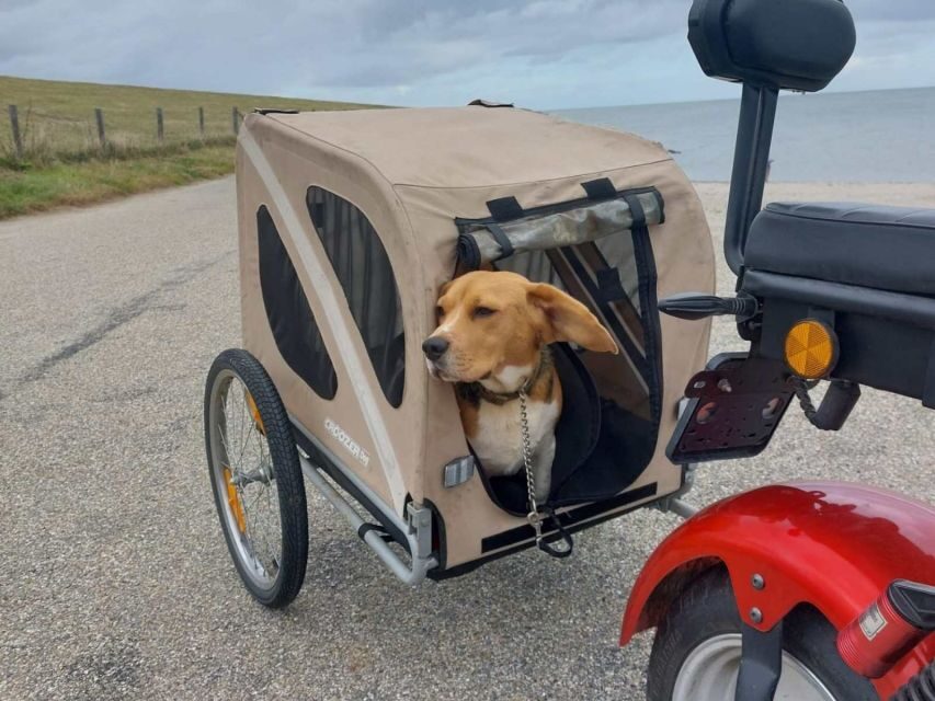Texel: E-Scooter Rental - Authentic Traveler Insights