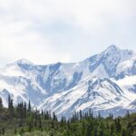 The Beauty of the North Tour - Authentic Experiences From Reviews
