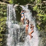 The best half day of your life! Luxury Road to Hana private tour - What Reviewers Say