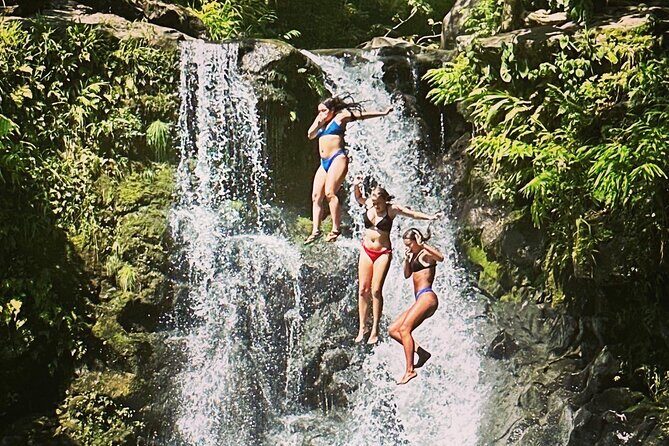 The best half day of your life! Luxury Road to Hana private tour - What Reviewers Say