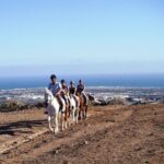 The Best Horse Riding Experience in Gran Canaria (1 hour) - Final Thoughts: Who Should Sign Up?