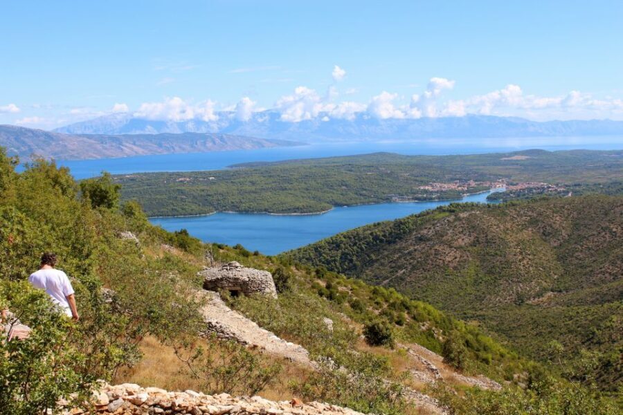 The Best of Hvar in a Day with Wine tasting and Local Dinner - Value and Cost