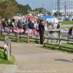 The Best of San Diego: Private Walking Tour including USS Midway - Value and Pricing Analysis