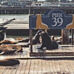 The Best of San Francisco: Private Half-Day Walking Tour - Value for Money: Is It Worth It?