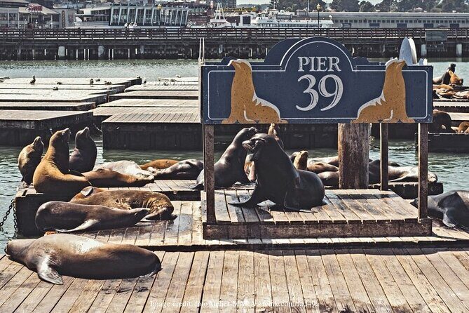The Best of San Francisco: Private Half-Day Walking Tour - Value for Money: Is It Worth It?