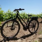 The Carrières de Lumières by bike for half-day - Real Traveler Feedback