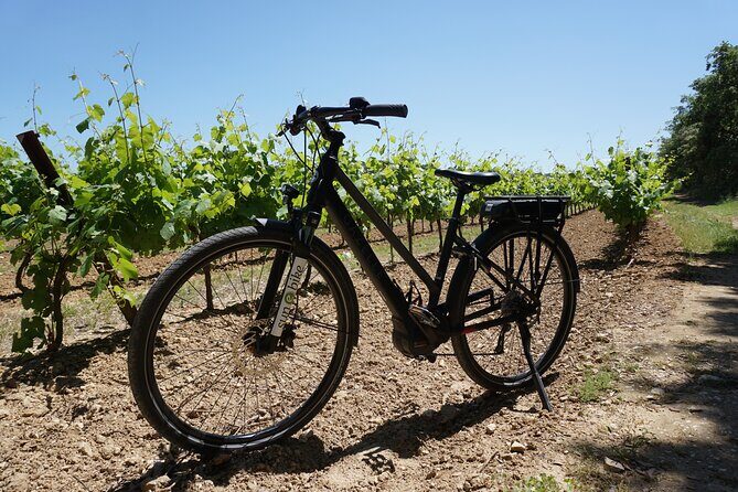The Carrières de Lumières by bike for half-day - Real Traveler Feedback