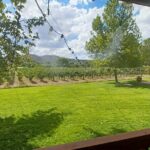 The Classic Sedona Wine Tour - Final Thoughts