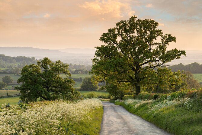 The Cotswold Tour - What Travelers Say: Authentic Feedback and Insights