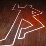 The Dinner Detective True Crime Murder Mystery Show - Wichita, KS - Key Points