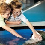 The Florida Aquarium in Tampa General Admission - The Core Itinerary