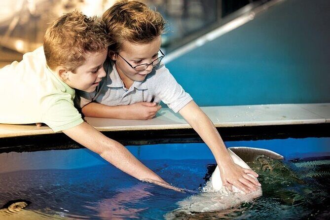 The Florida Aquarium in Tampa General Admission - The Core Itinerary
