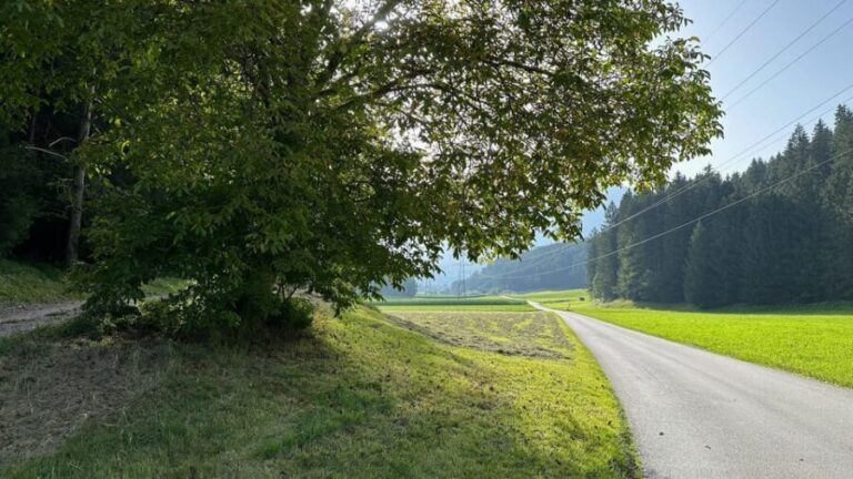 The forest as an Escape Room for the whole family - What to Expect at Each Step