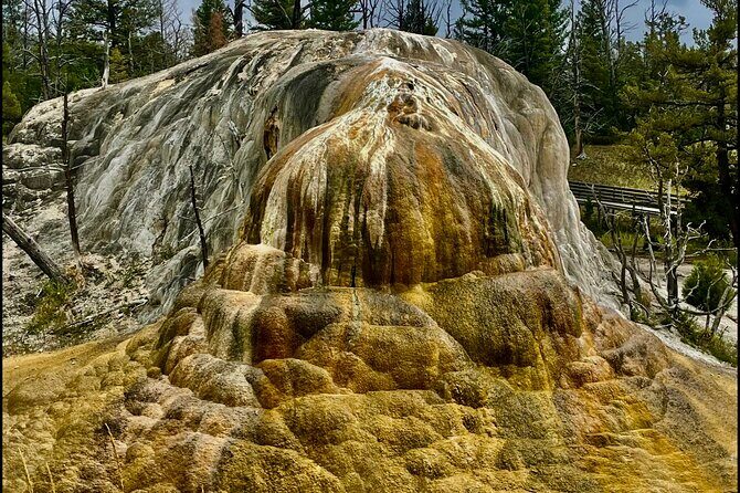 The Grand Yellowstone 3 day private experience from Cody Wyoming - Frequently Asked Questions