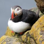 The Great Round Tour: Around Iceland in 13 Days - What Sets This Tour Apart?