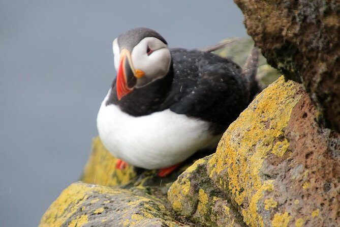 The Great Round Tour: Around Iceland in 13 Days - What Sets This Tour Apart?