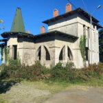 The Green Gold of Georgia - FAQ