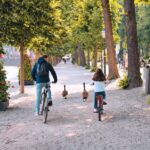 The Hague: Highlights Bike Tour - Royal Palaces and Stables