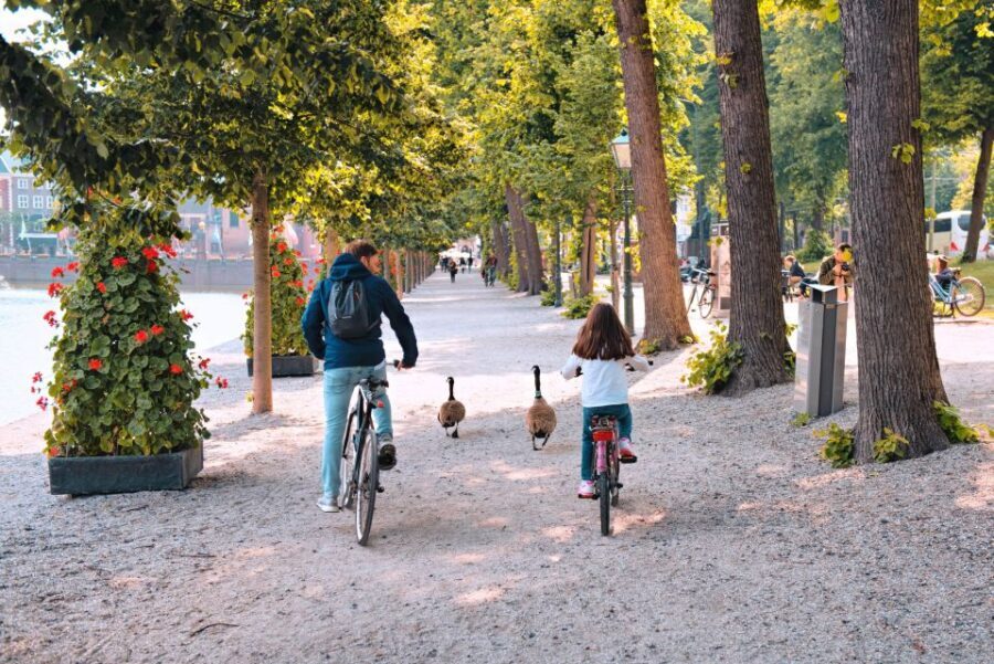 The Hague: Highlights Bike Tour - Royal Palaces and Stables