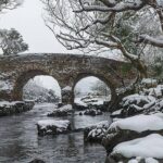 The Meeting of the Waters, Dinis Island, Lakes of Killarney (Minimum 6 people) - The Sum Up