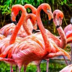 The Miami Sightseeing Day Pass: 35+ Sun-Soaked Attractions & Tours - Real-World Experiences and Considerations
