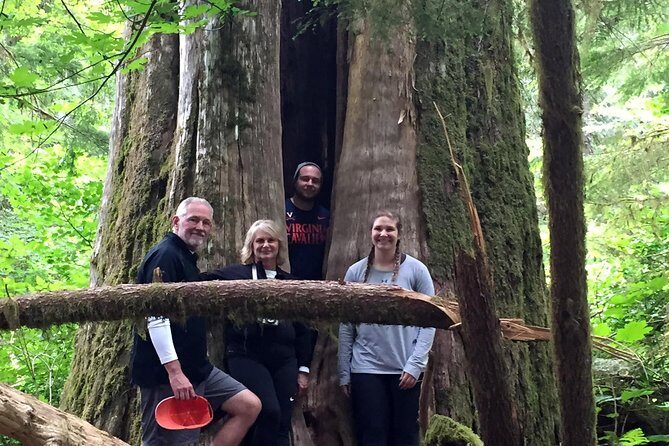 The Mt St Helens Adventure Tour from Portland - What the Reviews Tell Us