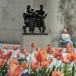 The Museum of Modern Art Admission Ticket - Authentic Traveler Experiences and Feedback