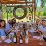 The Napa Native Experience - Transportation & Timing: Comfort and Convenience