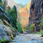 The Narrows: Zion National Park Private Guided Hike - Authentic Experiences from Travelers