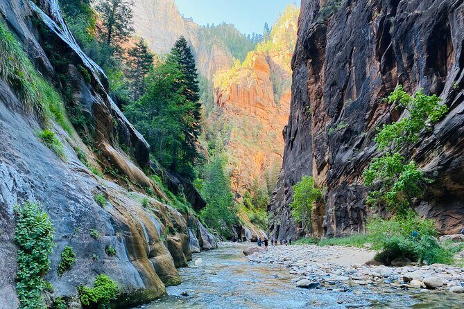 The Narrows: Zion National Park Private Guided Hike - Authentic Experiences from Travelers