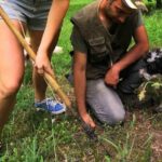 The Real Truffle Hunting in Abruzzo - Why This Experience Offers Real Value
