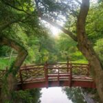 The Romantic Side of Williamsburg  Walking Tour - Crossing the Crim Dell Bridge
