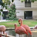 The Secret Milan  An Exclusive Stroll Beyond the Beaten Path - The Surprising Quadrilatero del Silenzio
