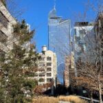 The Story of the High Line Elevated Park and Hudson Yards - What to Expect from the Itinerary