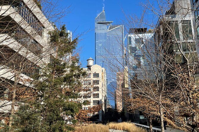The Story of the High Line Elevated Park and Hudson Yards - What to Expect from the Itinerary